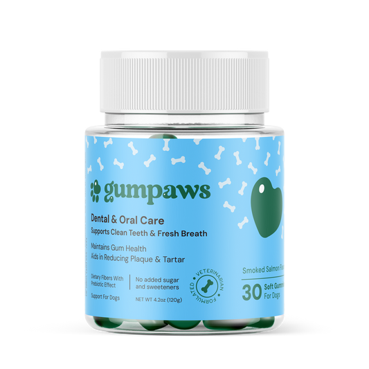 GumPaws – Premium Dog Gummies for Health & Wellness